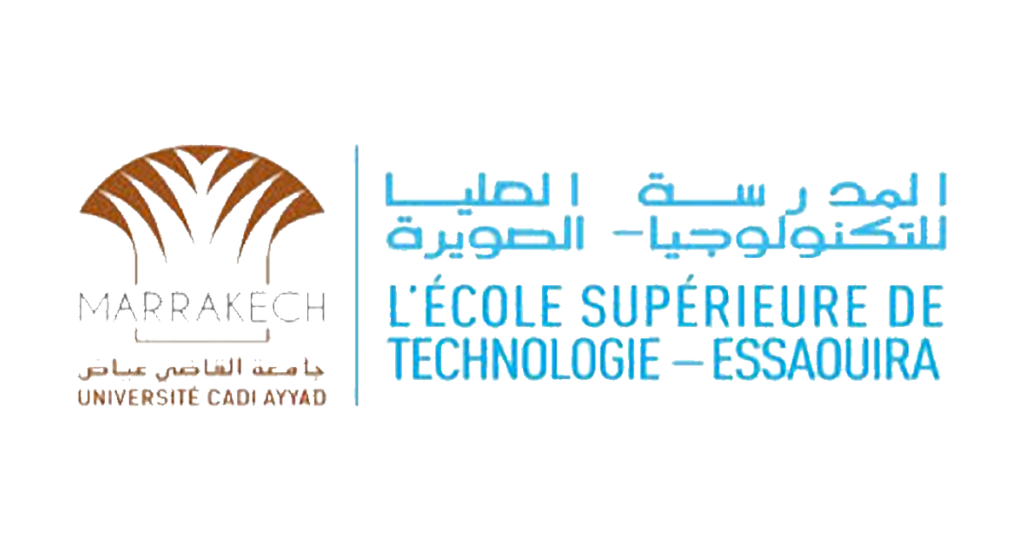 Organization Committee – ICESST